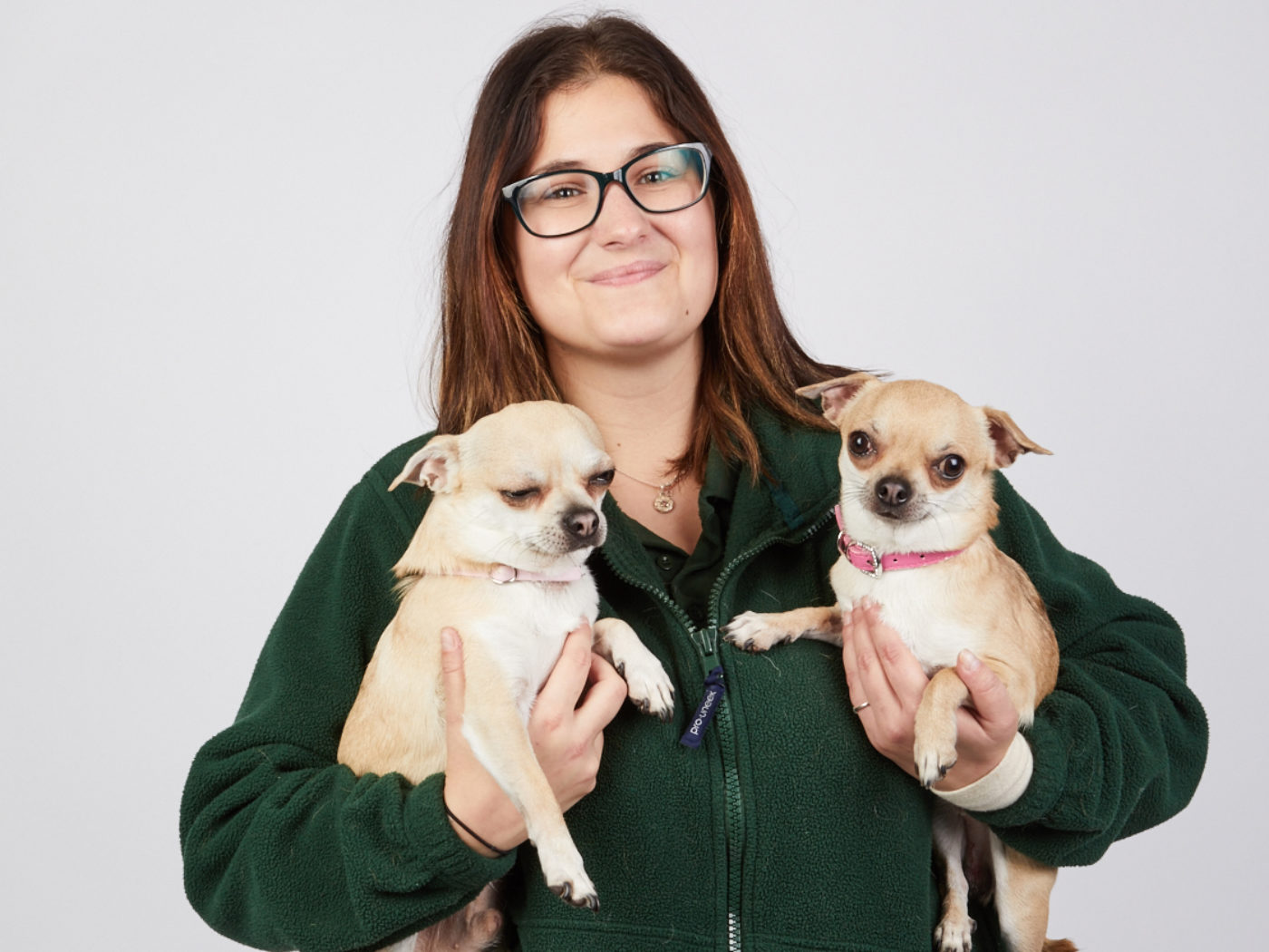 Meet the dogs | Channel 4's The Dog House | Woodgreen Pets Charity