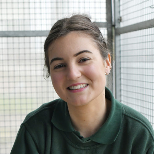 Meet Emori | Woodgreen Pets Charity